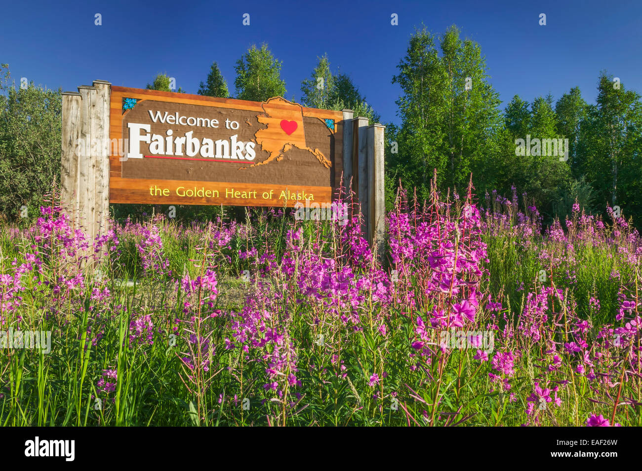 Welcome to the digital world hi-res stock photography and images - Alamy