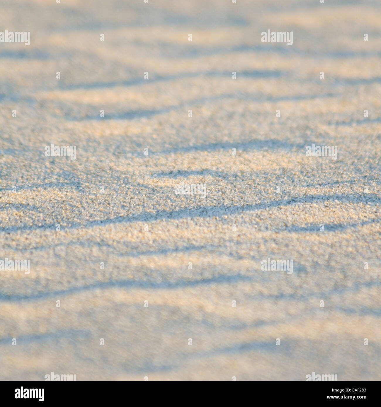 Artistic sand drawings of nature Stock Photo - Alamy
