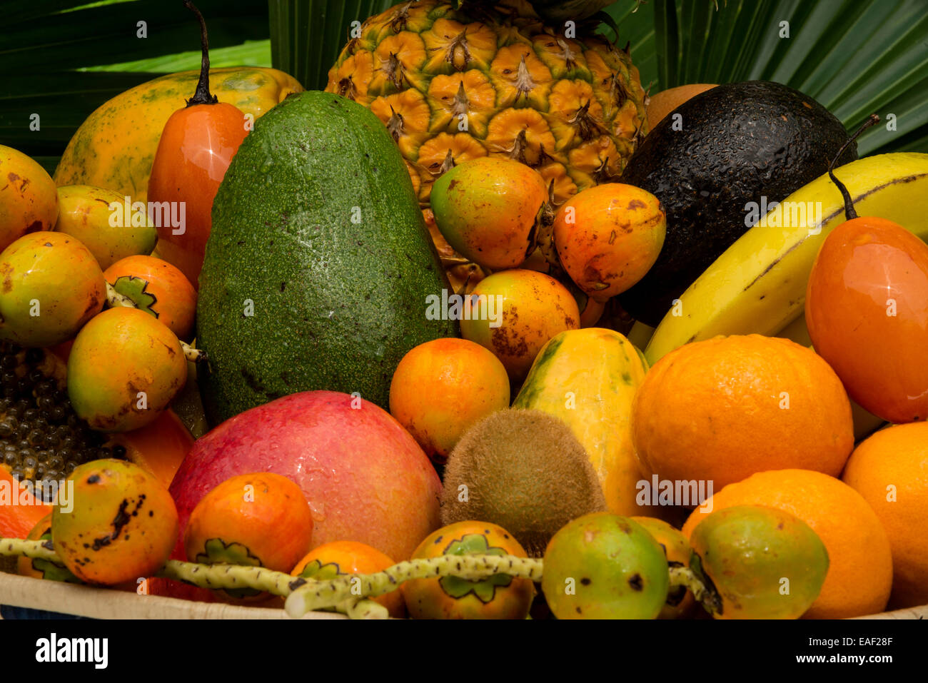 Tropical fruits basket hi-res stock photography and images - Alamy