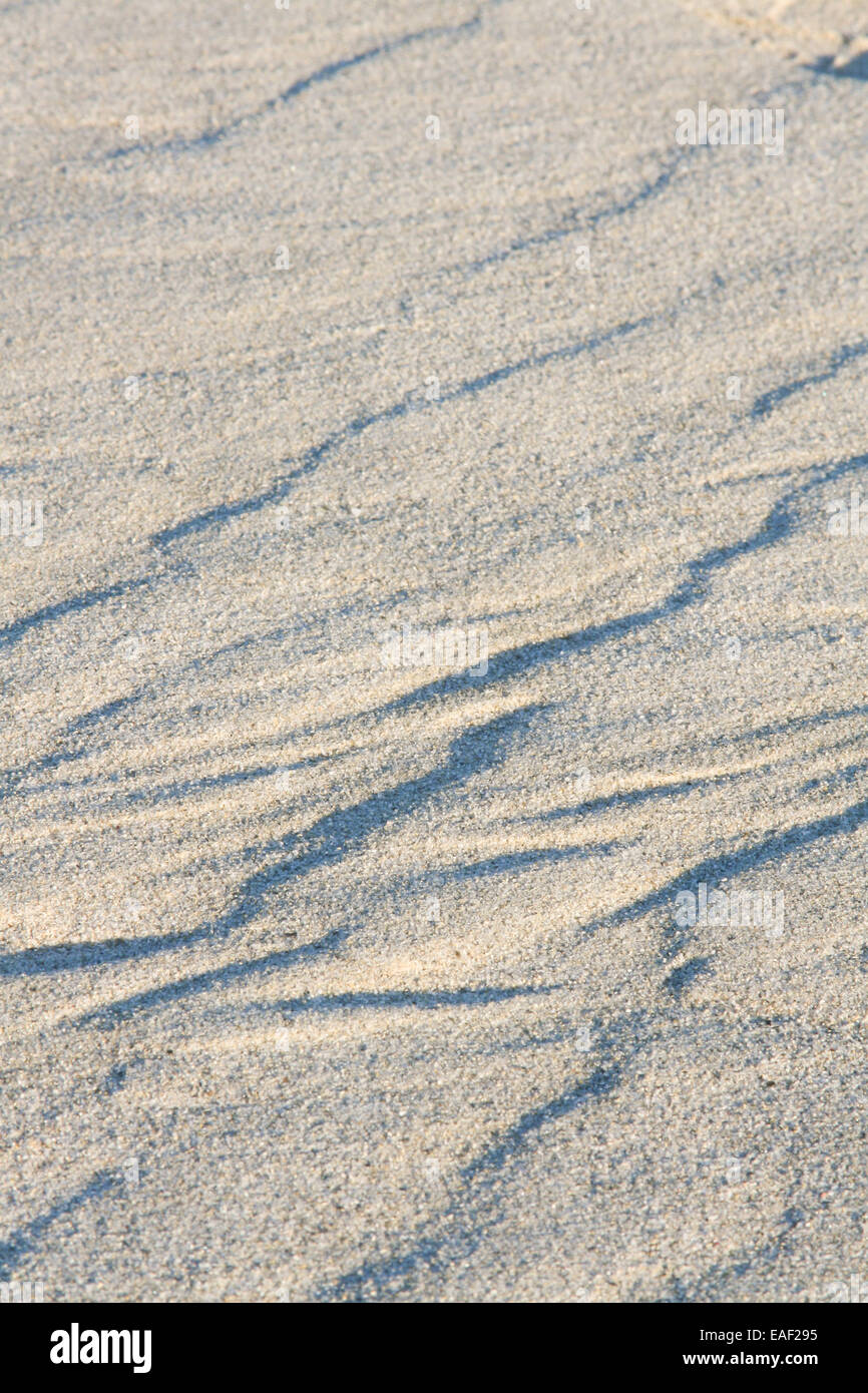 Artistic sand drawings of nature Stock Photo - Alamy