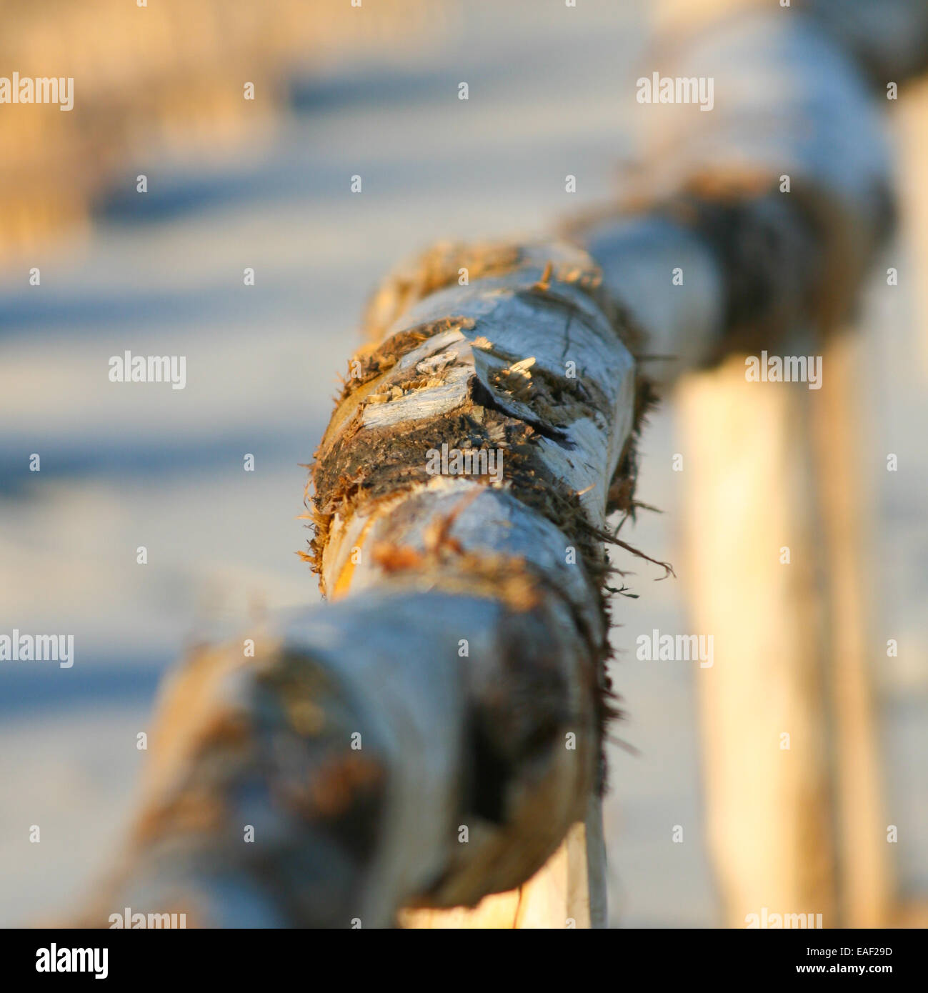 Sunrise and fence hi-res stock photography and images - Alamy