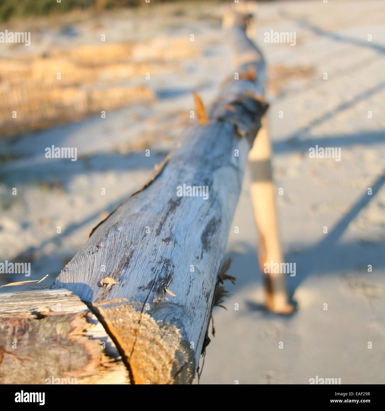 Artistic Sunrise Fence on the beach Stock Photo - Alamy