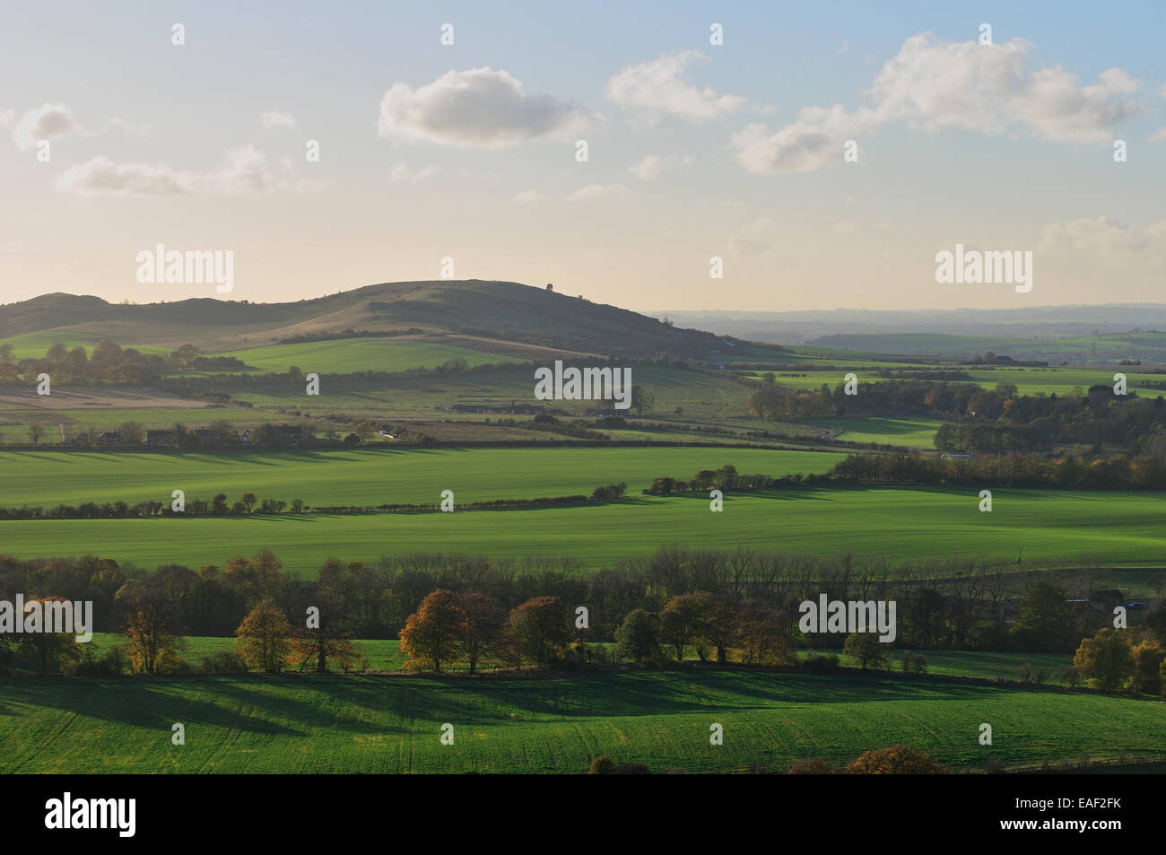Ivinghoe Hills seen from Dunstable Downs, Bedfordshire Stock Photo - Alamy