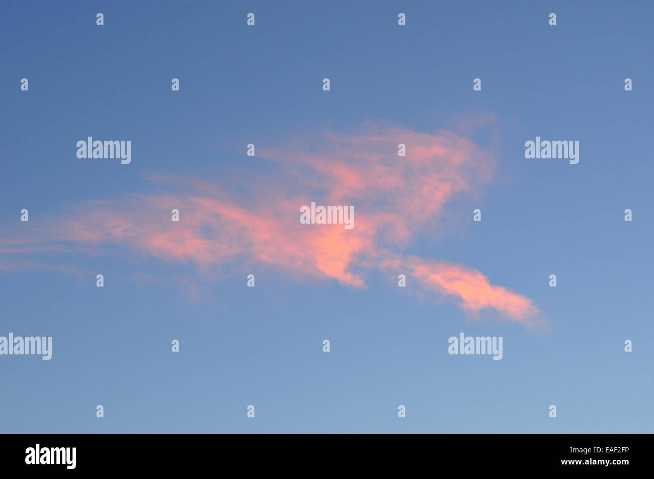 Pink Clouds in a blue sky at sunset Stock Photo - Alamy