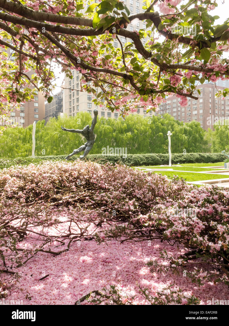 Fordham University, Lincoln Center Campus Grounds in Springtime, NYC ...