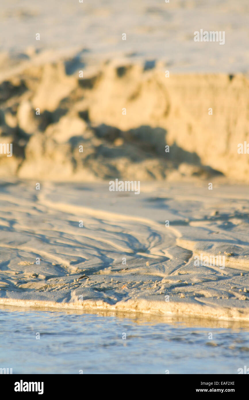 Sandy Dover. Miniature on the beach in Sardinia Stock Photo - Alamy