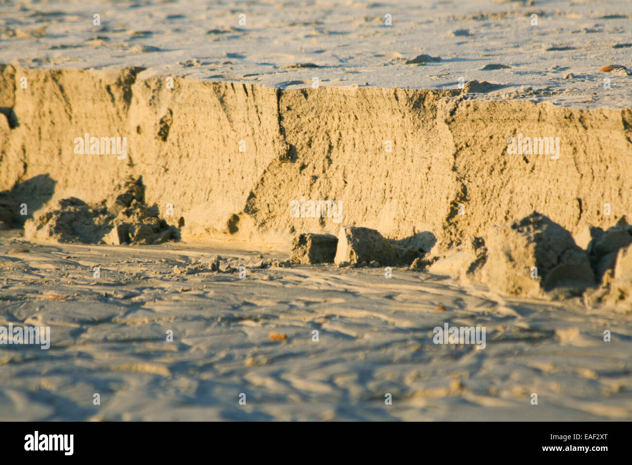 Sandy Dover. Miniature on the beach in Sardinia Stock Photo - Alamy