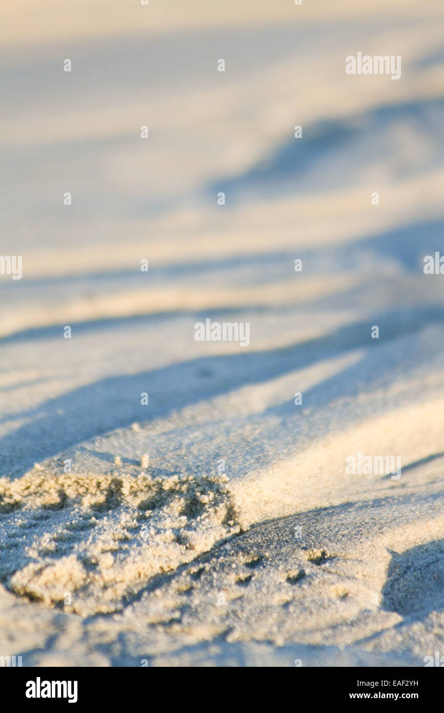 Small step for a man - Big step for Humanity Stock Photo - Alamy