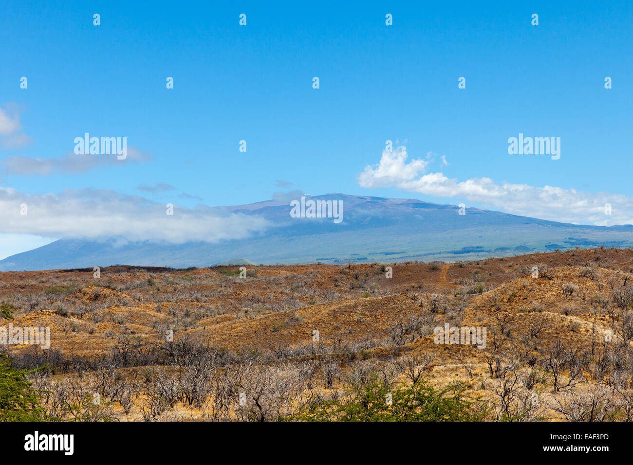 Mauna loa hi-res stock photography and images - Alamy