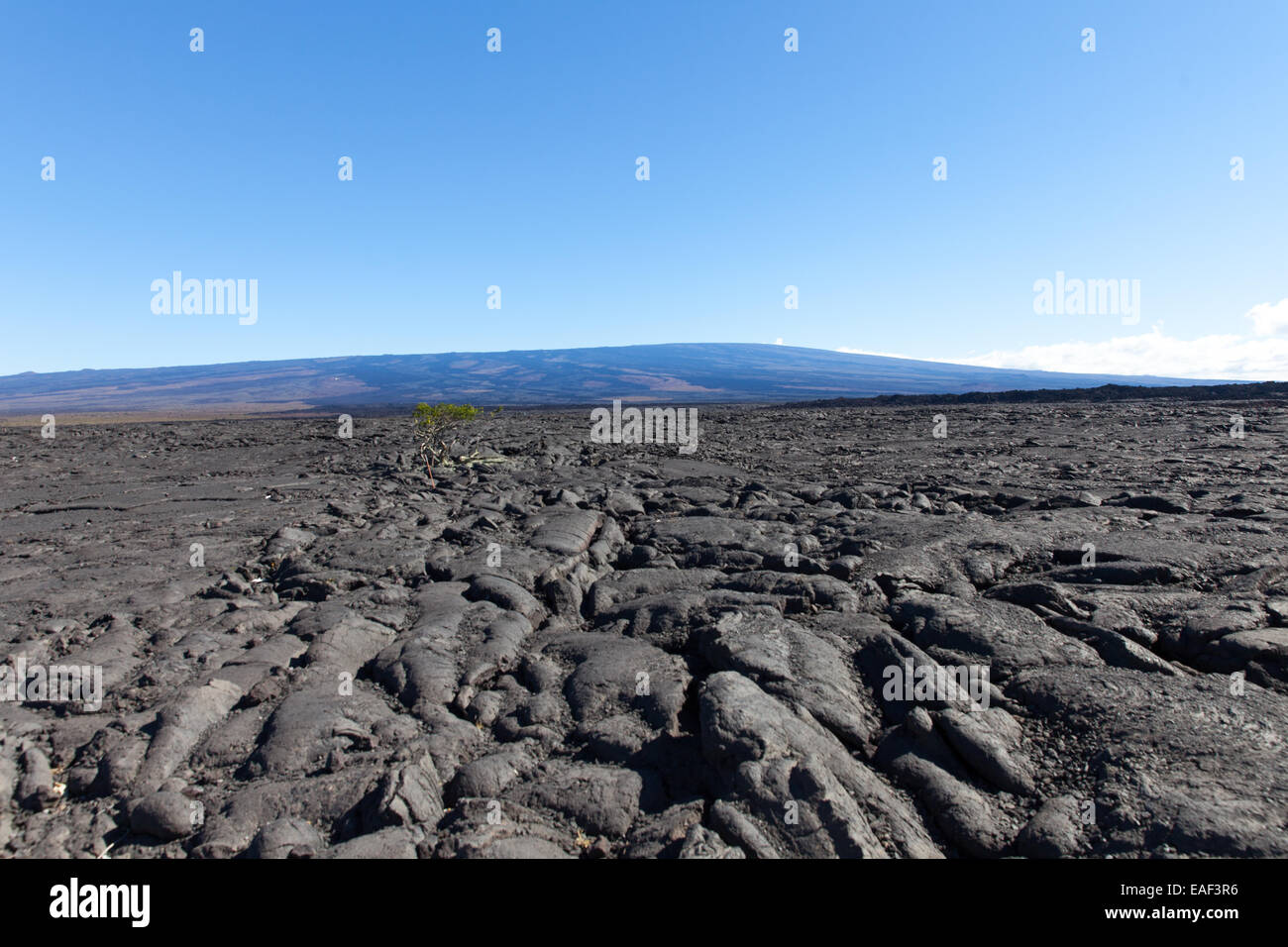 Saddle road hawaii hi-res stock photography and images - Alamy