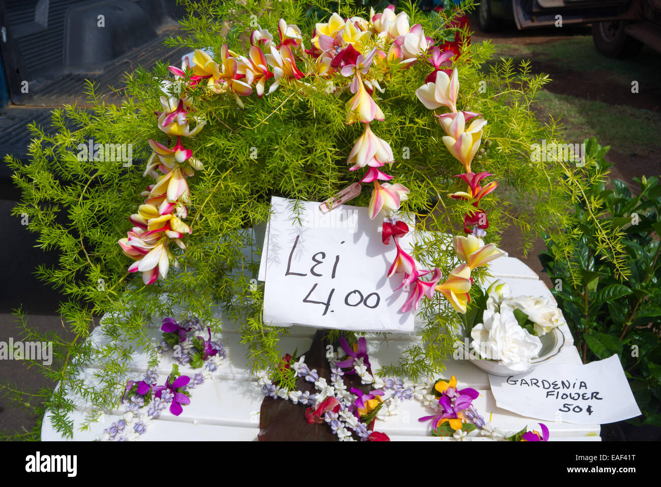 Garland of flowers hawaii hi-res stock photography and images - Alamy