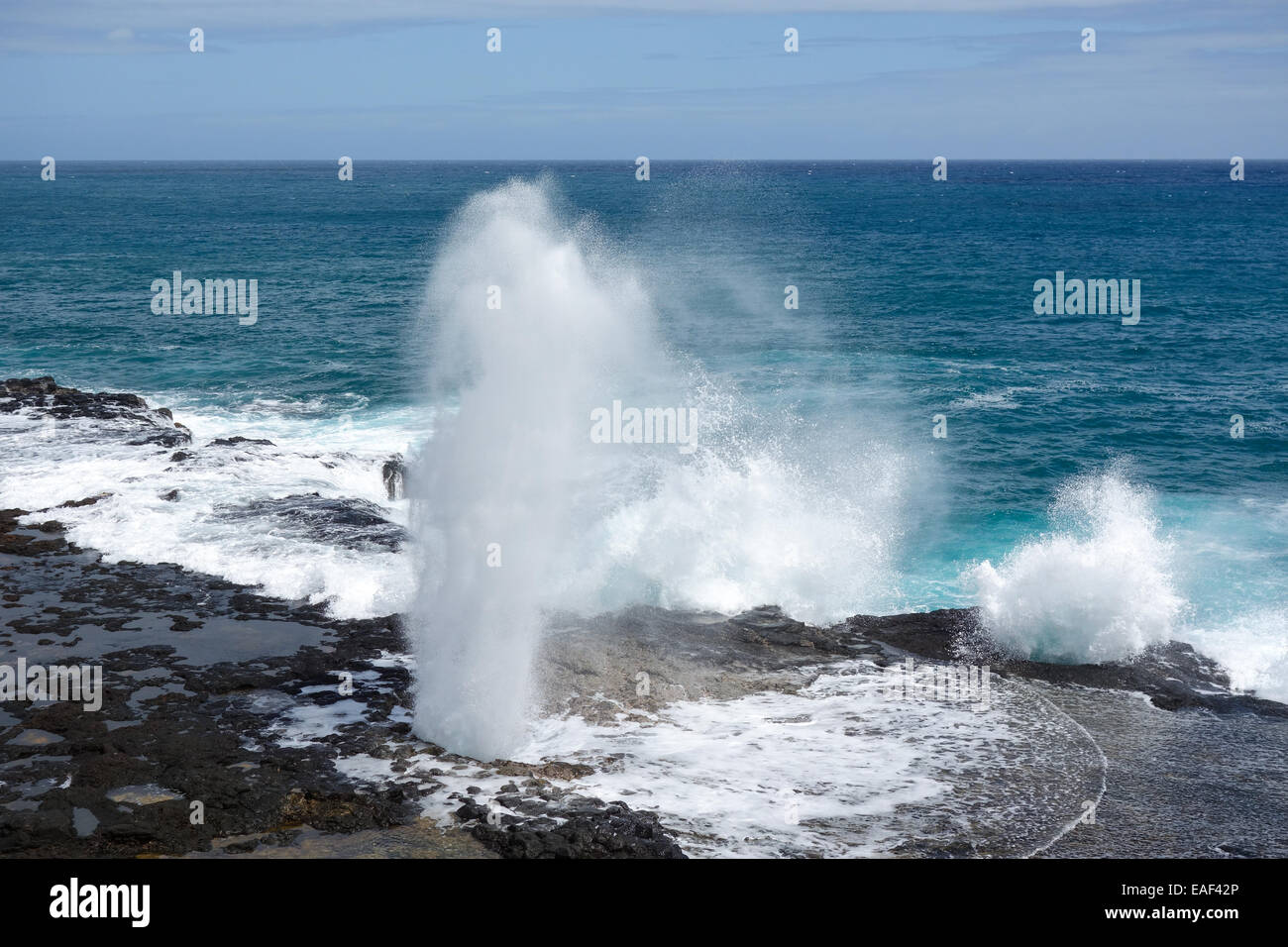 Blow horn hi-res stock photography and images - Alamy