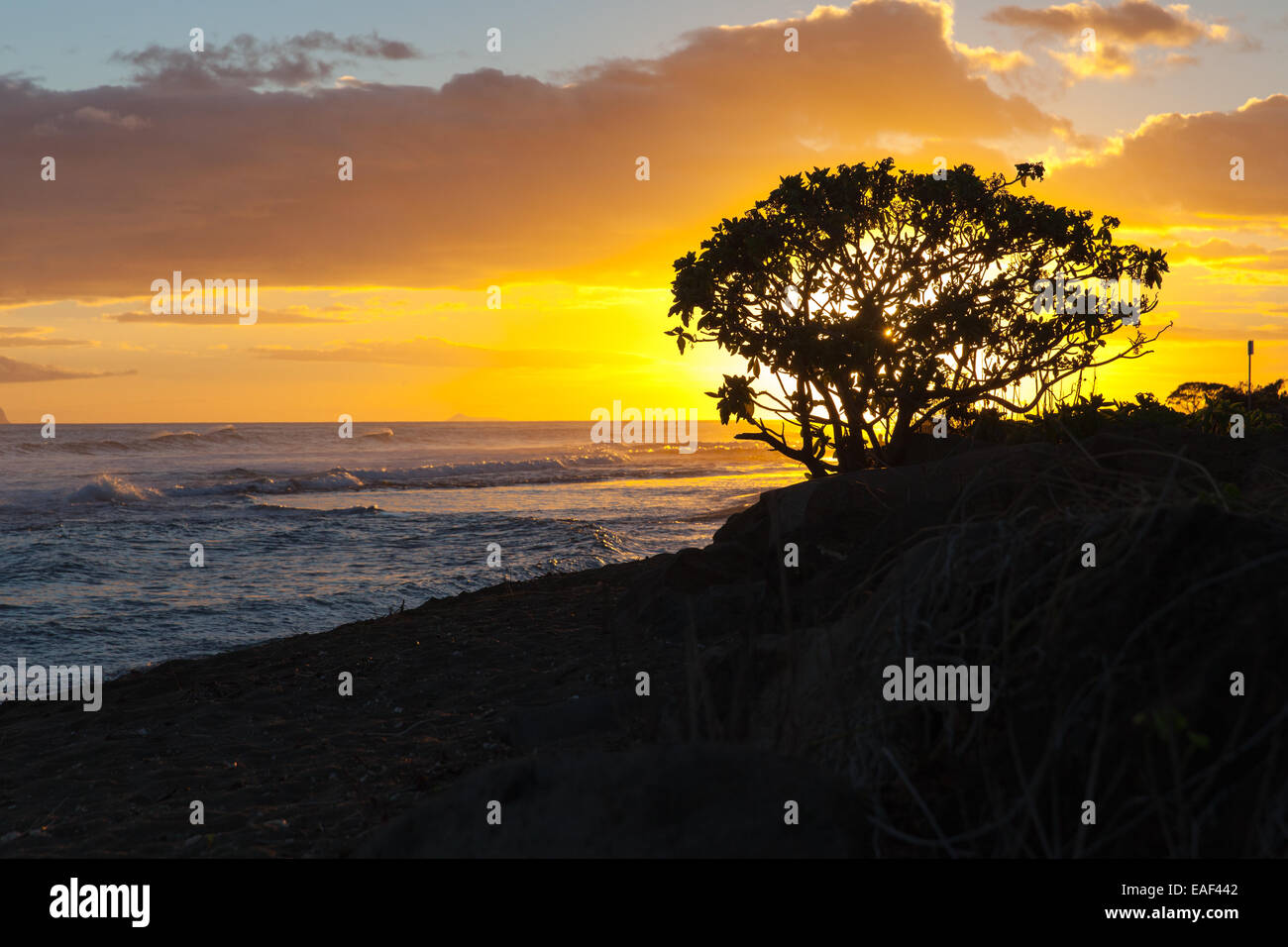 Kekaha Beach High Resolution Stock Photography and Images - Alamy