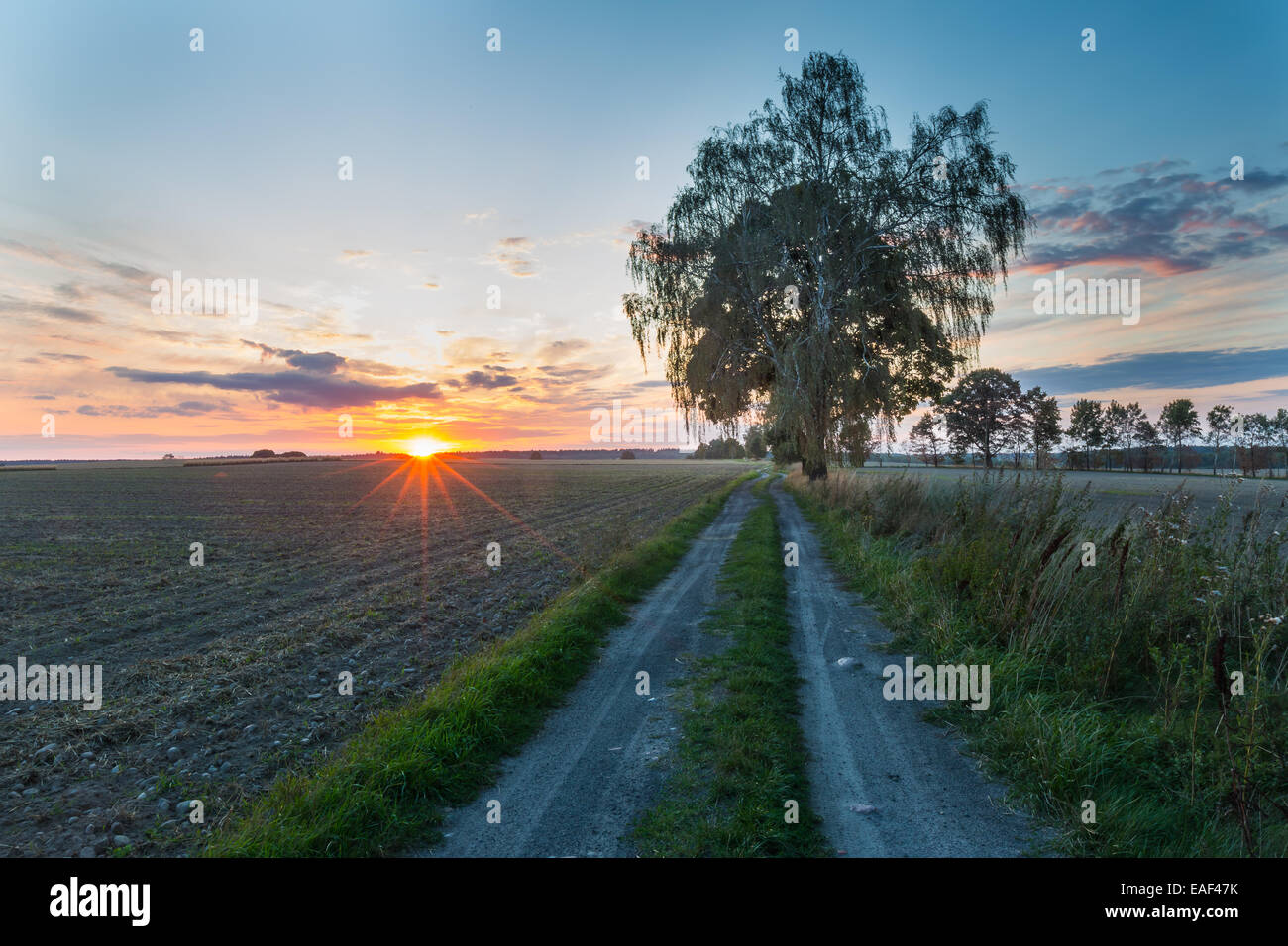 Sandy polish road hi-res stock photography and images - Alamy
