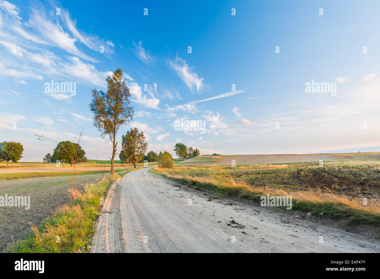 Sandy rural road near fields, typical polish viallage landscape Stock ...