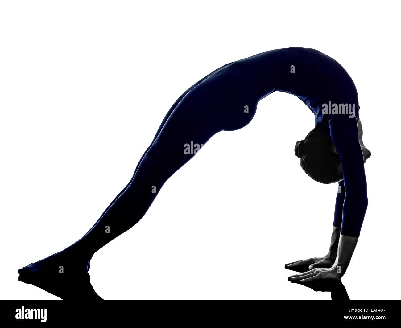 woman exercising Urdhva Dhanurasana bridge pose yoga silhouette shadow ...