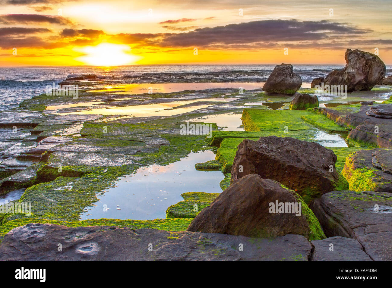 Turimetta beach sydney hi-res stock photography and images - Alamy