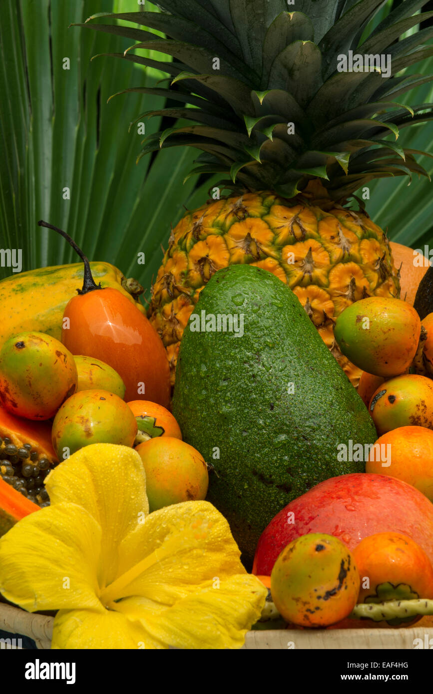 Vertical shot tropical fruits hi-res stock photography and images - Alamy