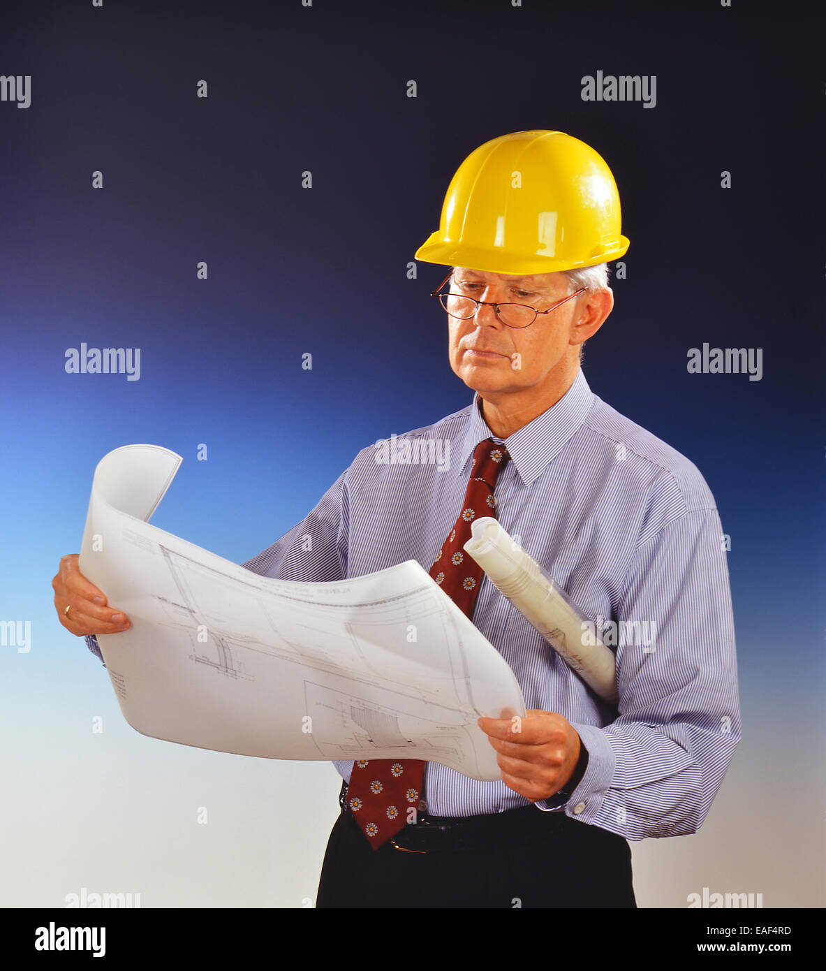 Architect with blue print and safety helmet Stock Photo - Alamy
