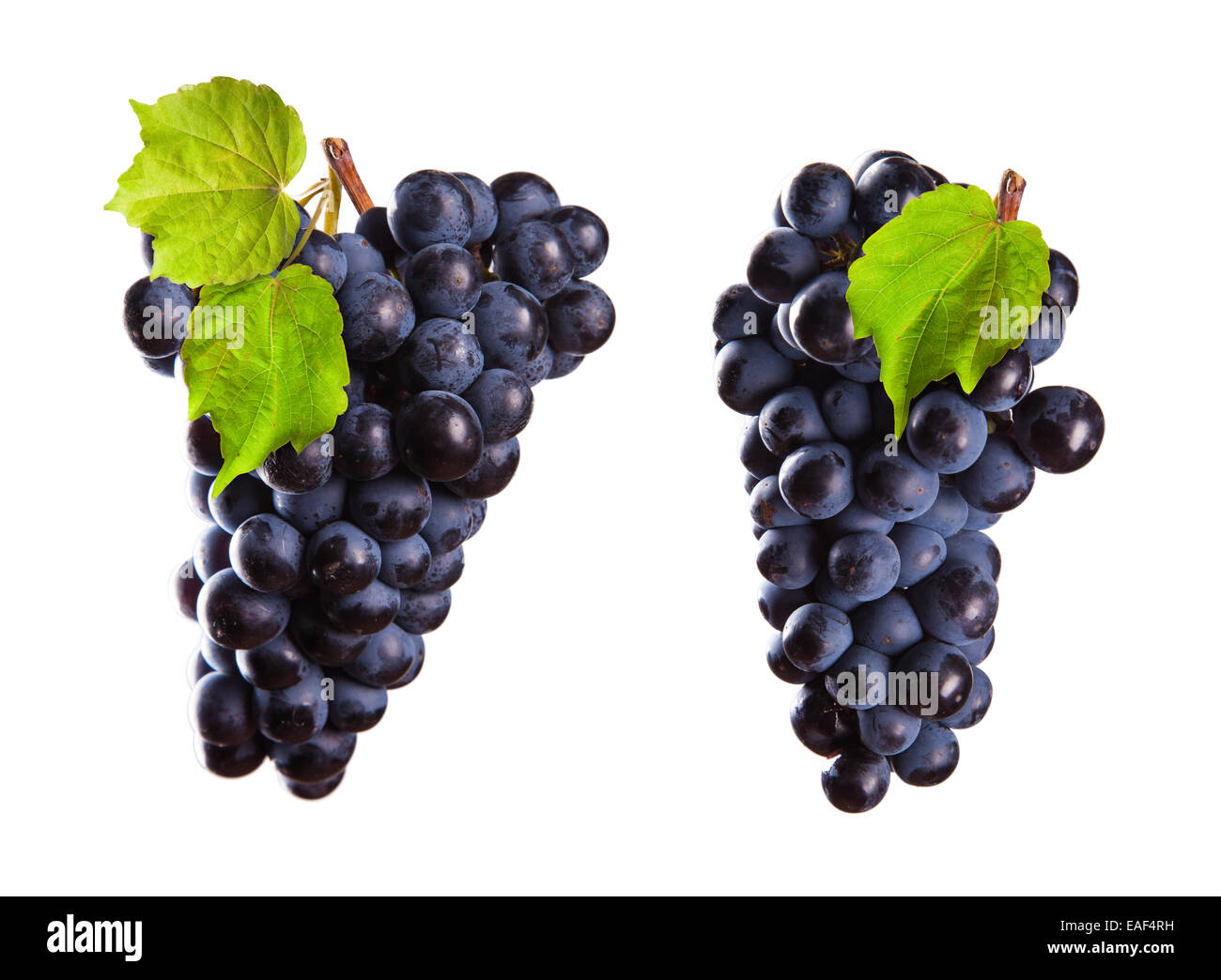 Two pieces of red wine grapes on white background Stock Photo - Alamy