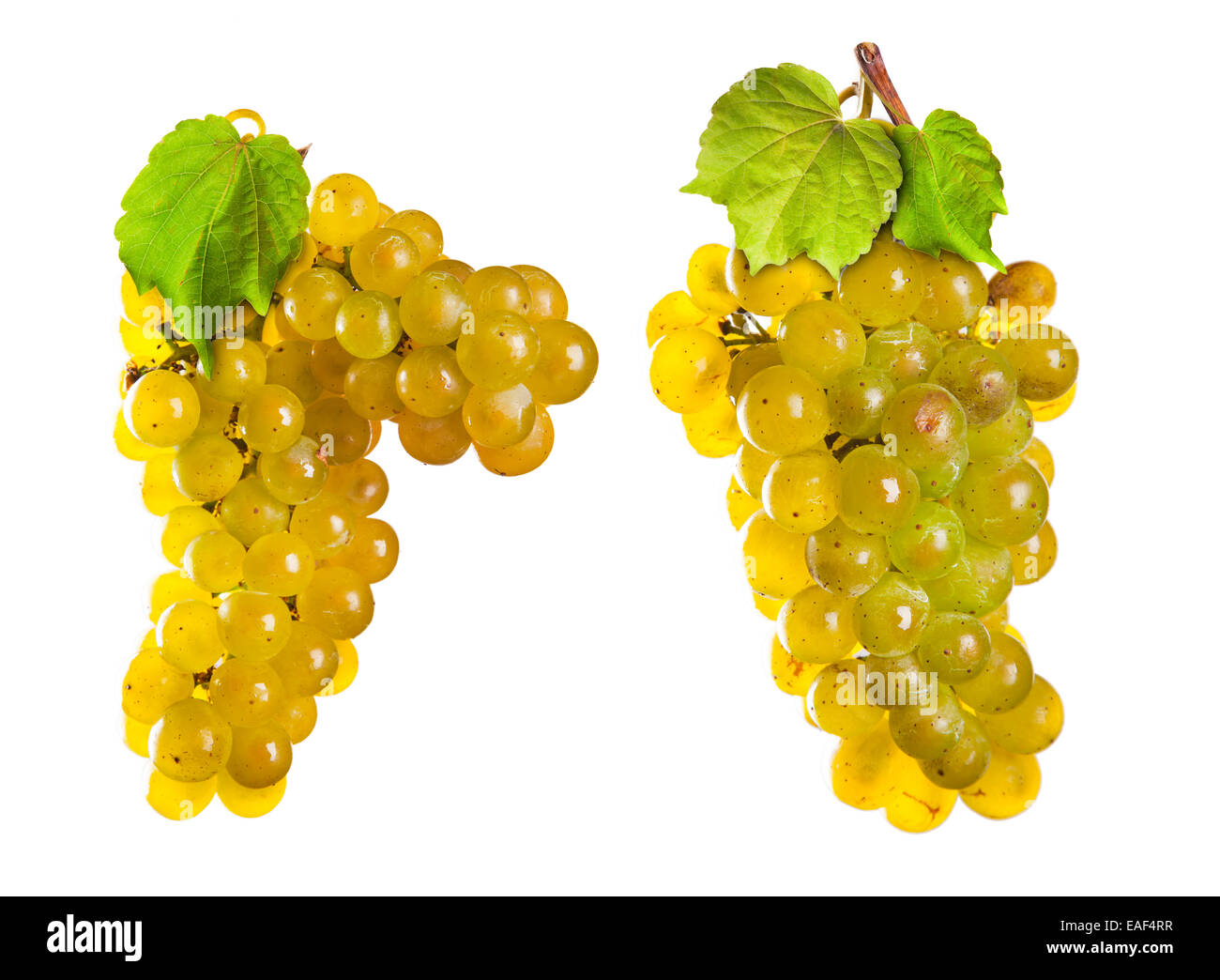 Two pieces of white wine grapes on white background Stock Photo - Alamy