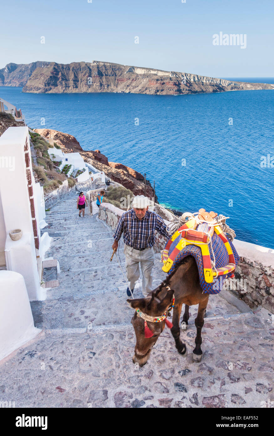 Tourist Donkey on steps to the village of Oia Santorini Thira Cyclades ...