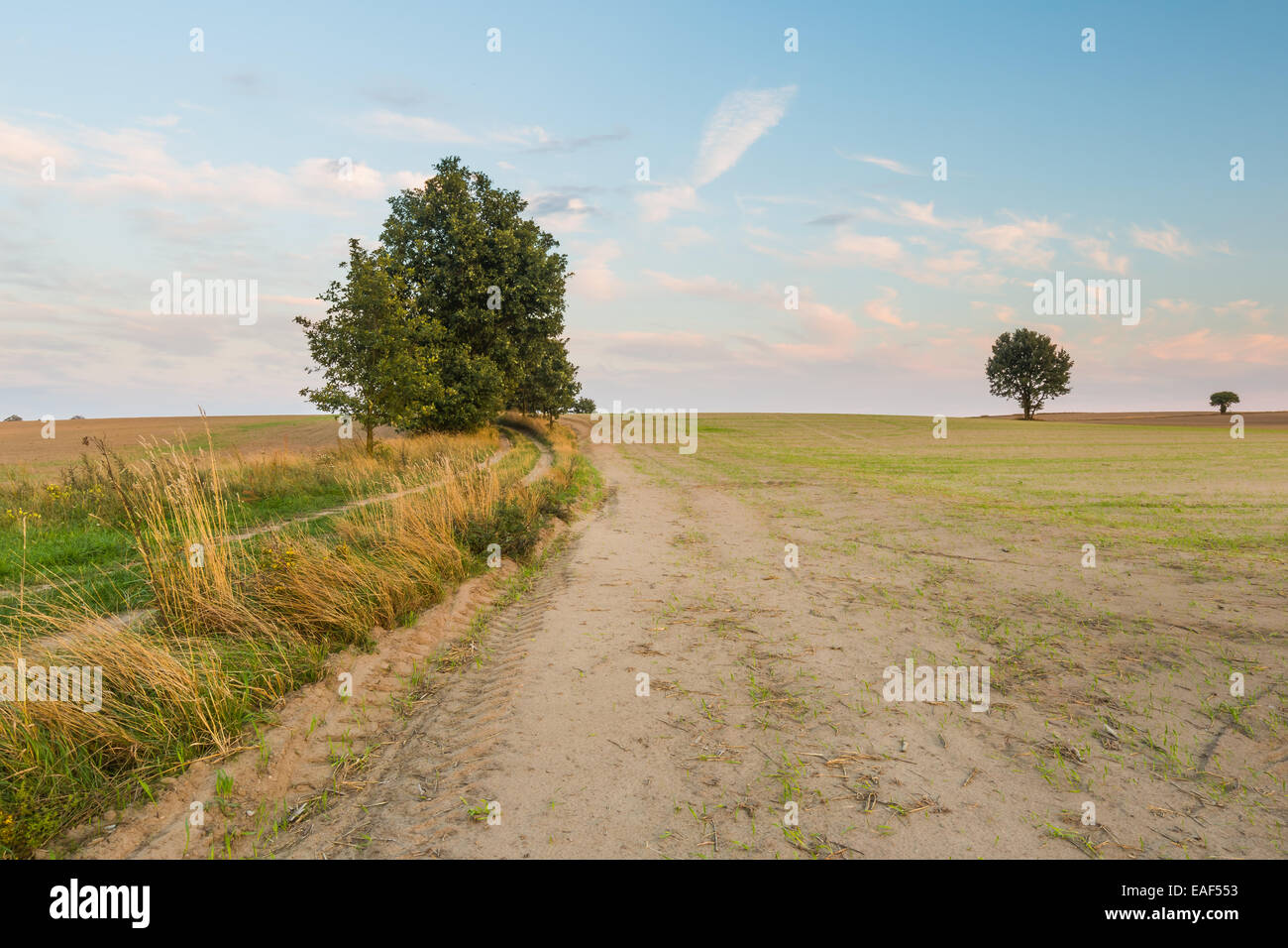 Sandy polish road hi-res stock photography and images - Alamy