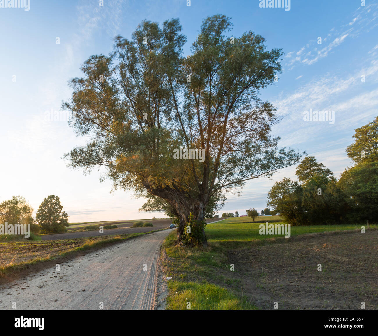 Sandy rural road near fields, typical polish viallage landscape Stock ...
