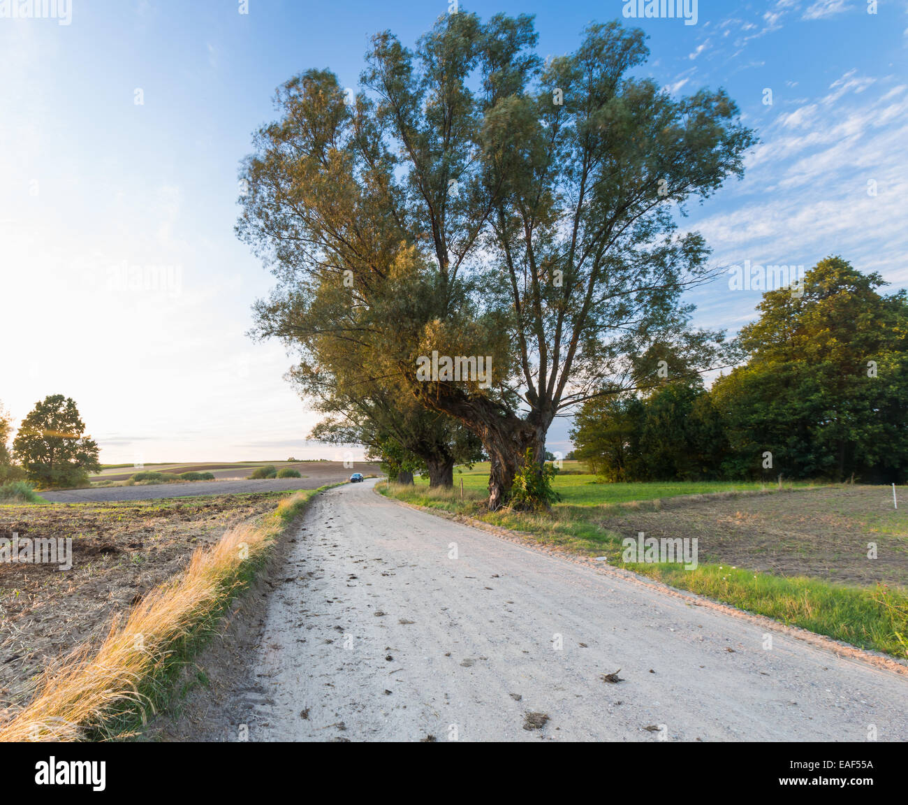 Typical polish hi-res stock photography and images - Alamy