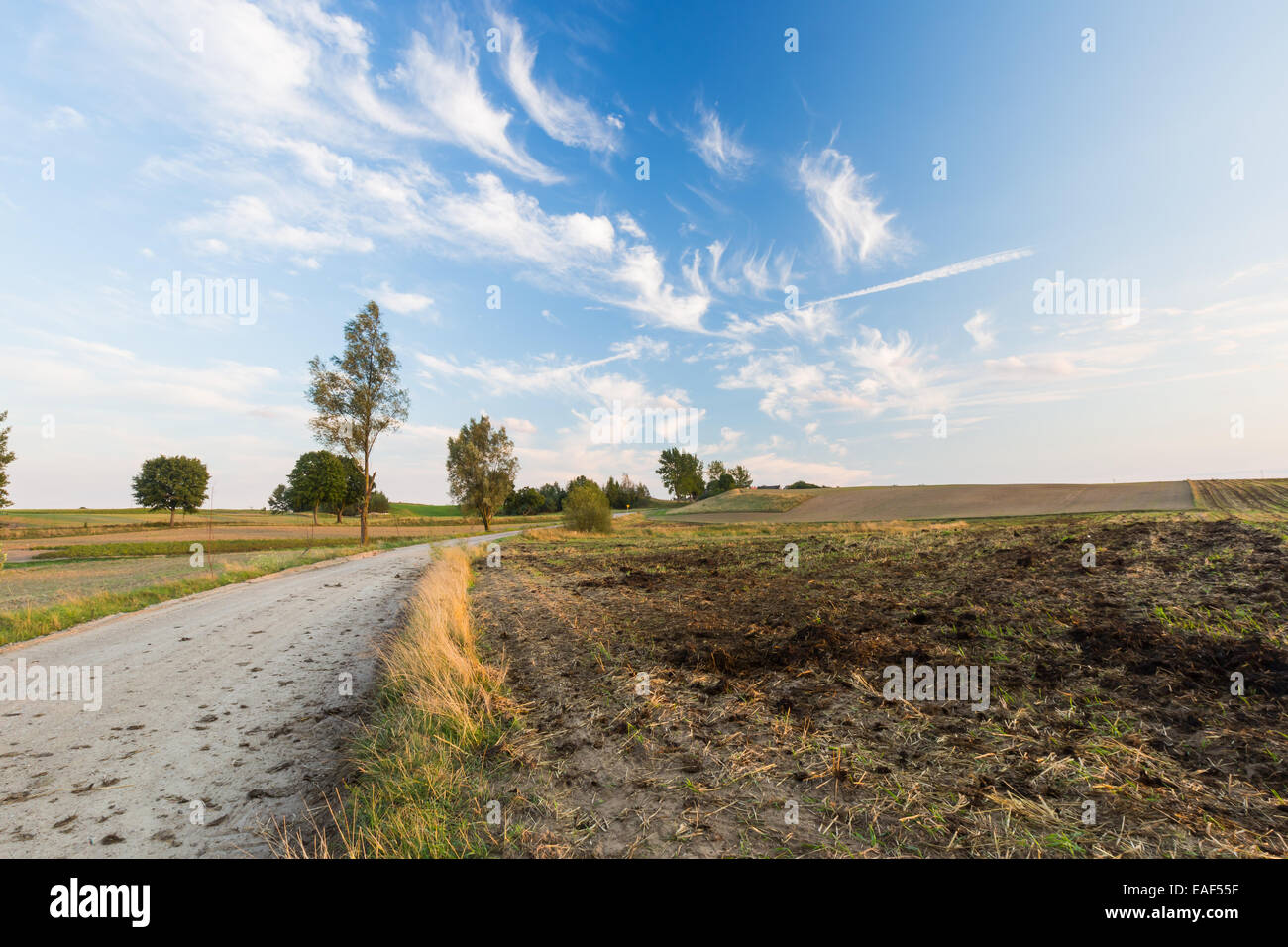 Typical polish hi-res stock photography and images - Alamy