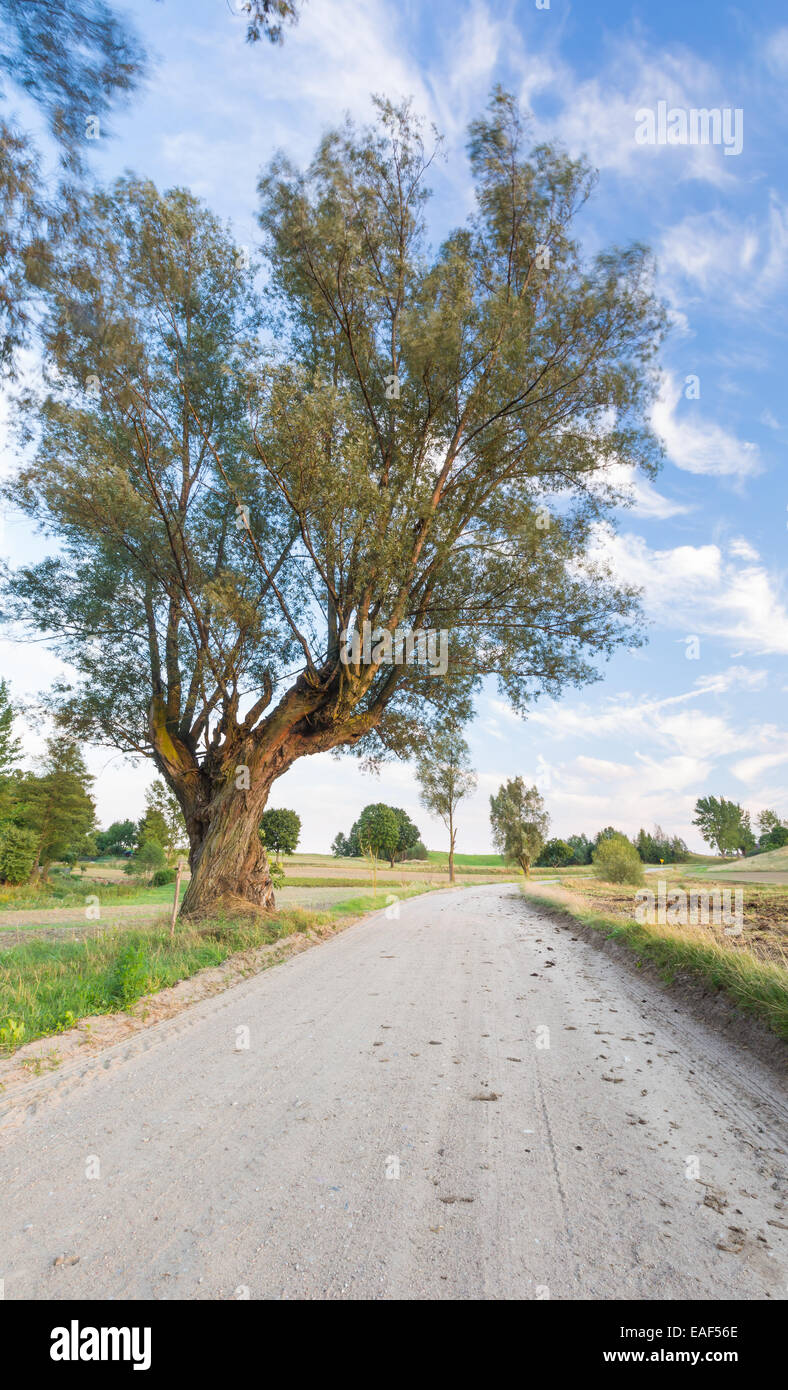 Sandy polish road hi-res stock photography and images - Alamy