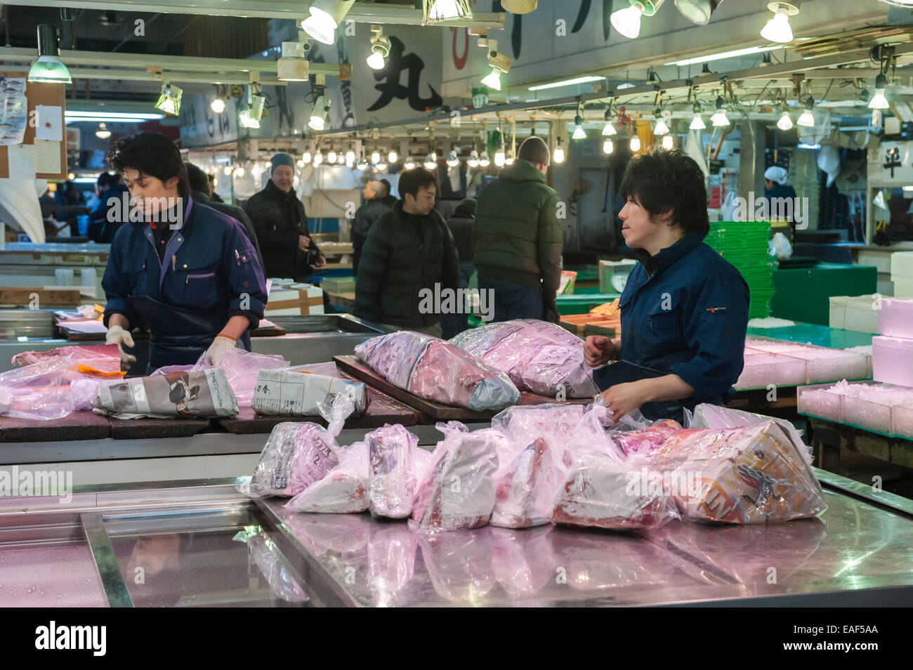 Yellowfin Tuna being packed, Thunnus albacares, Tsukiji Fish Market ...