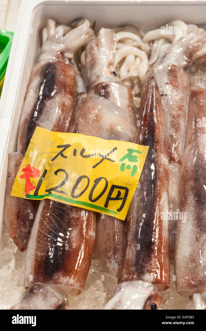 Fresh squid, Yari-Ika, for sale, Tsukiji Fish Market, Tokyo, Japan ...