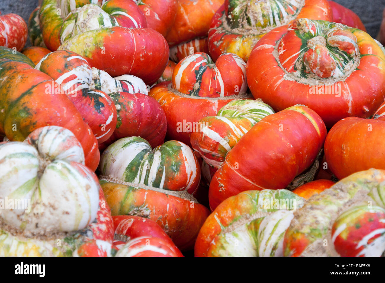 Turban squash hi-res stock photography and images - Alamy