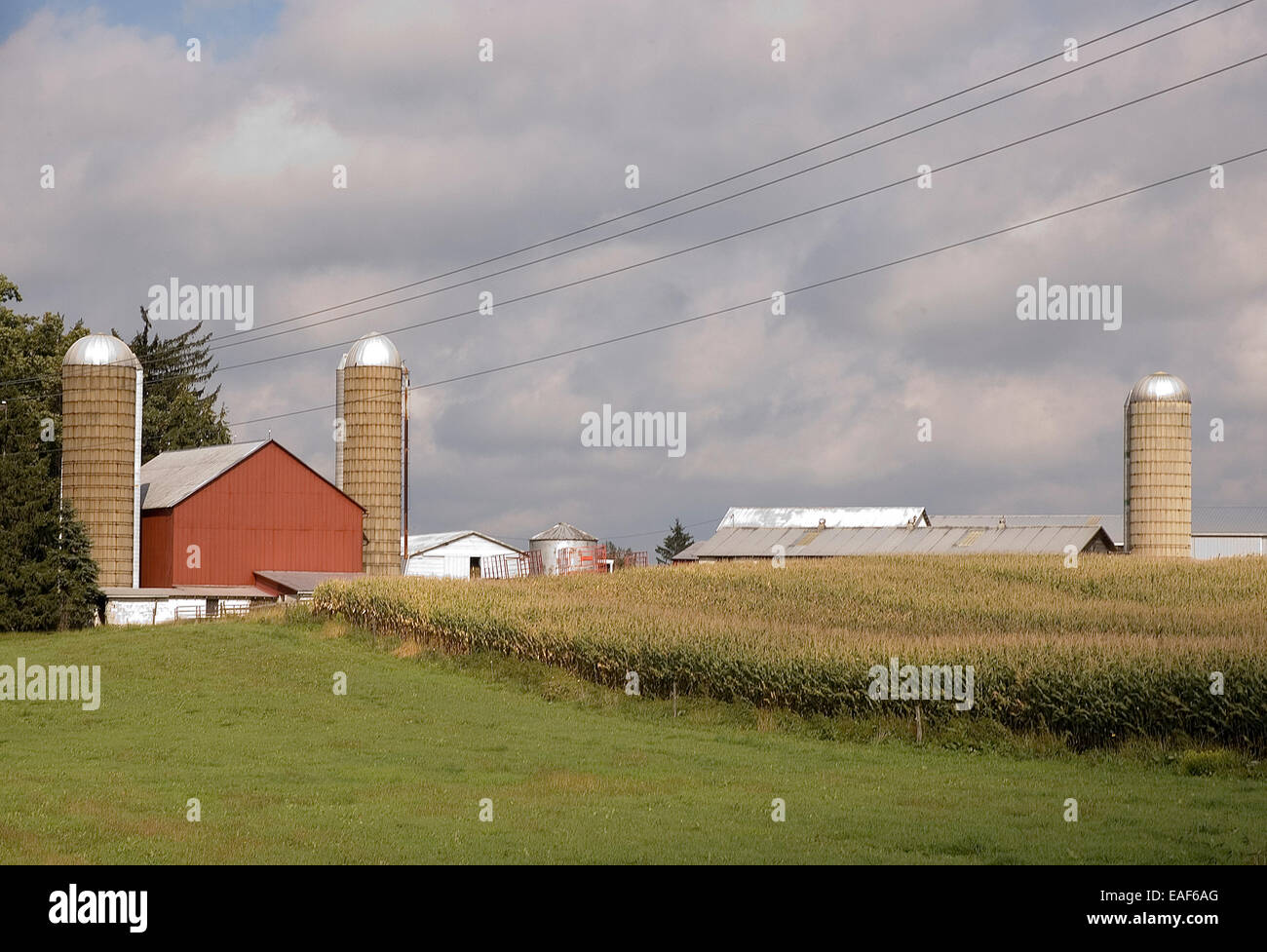 Pennsylvania corn field and barn Stock Photo - Alamy