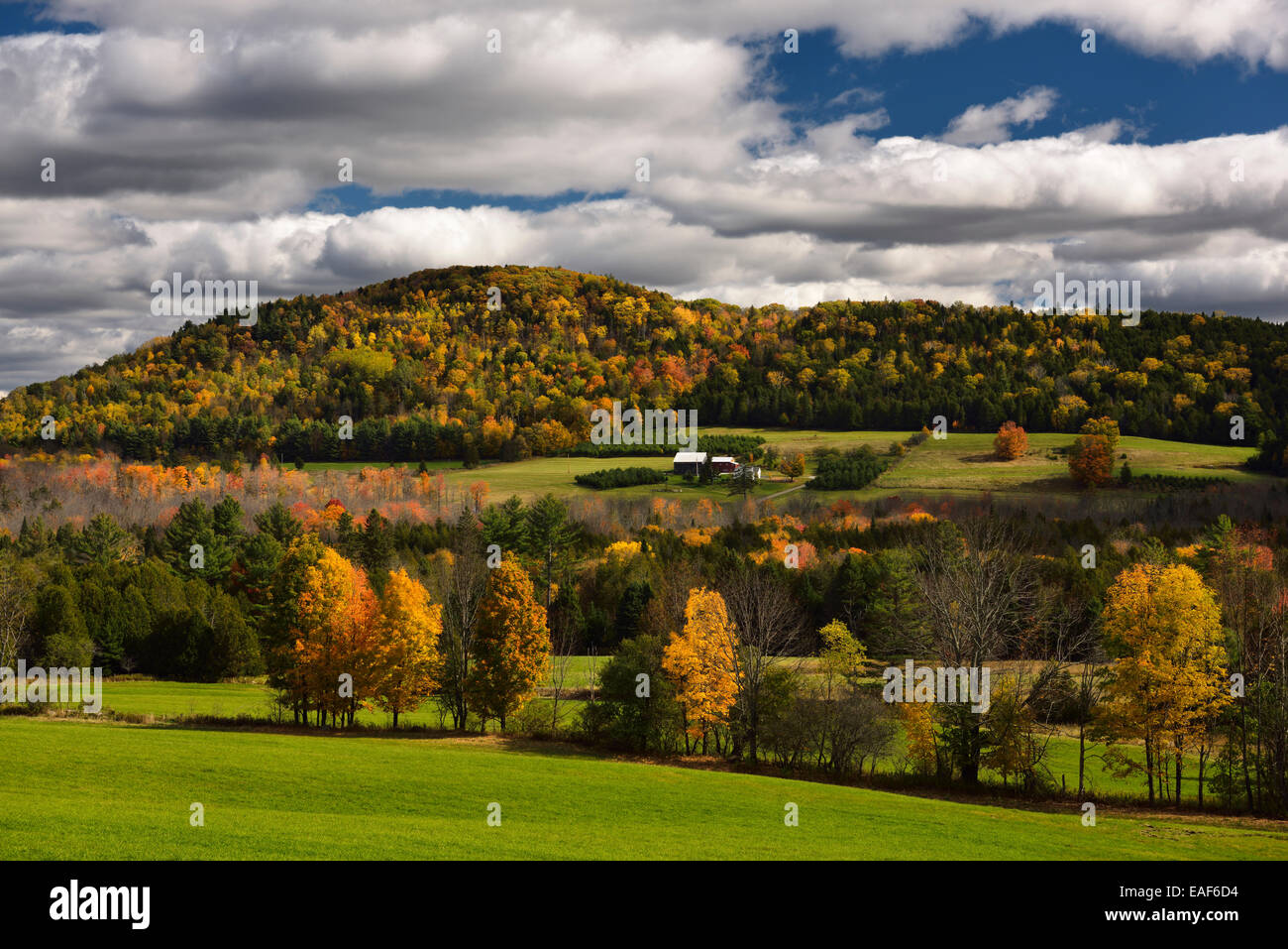 Farmhouse among green fields and forest trees in Fall color on Blue ...