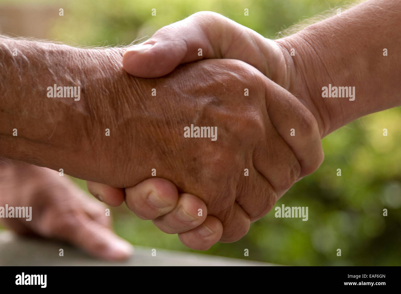 Close up of shaking hands Stock Photo - Alamy