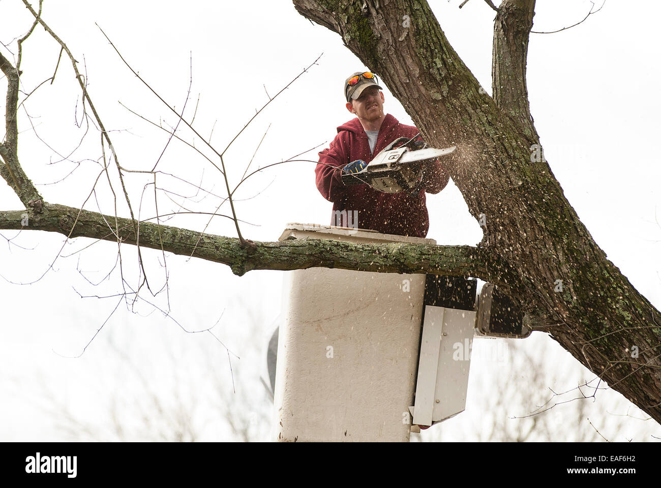 Man cutting tree branch Stock Photo - Alamy