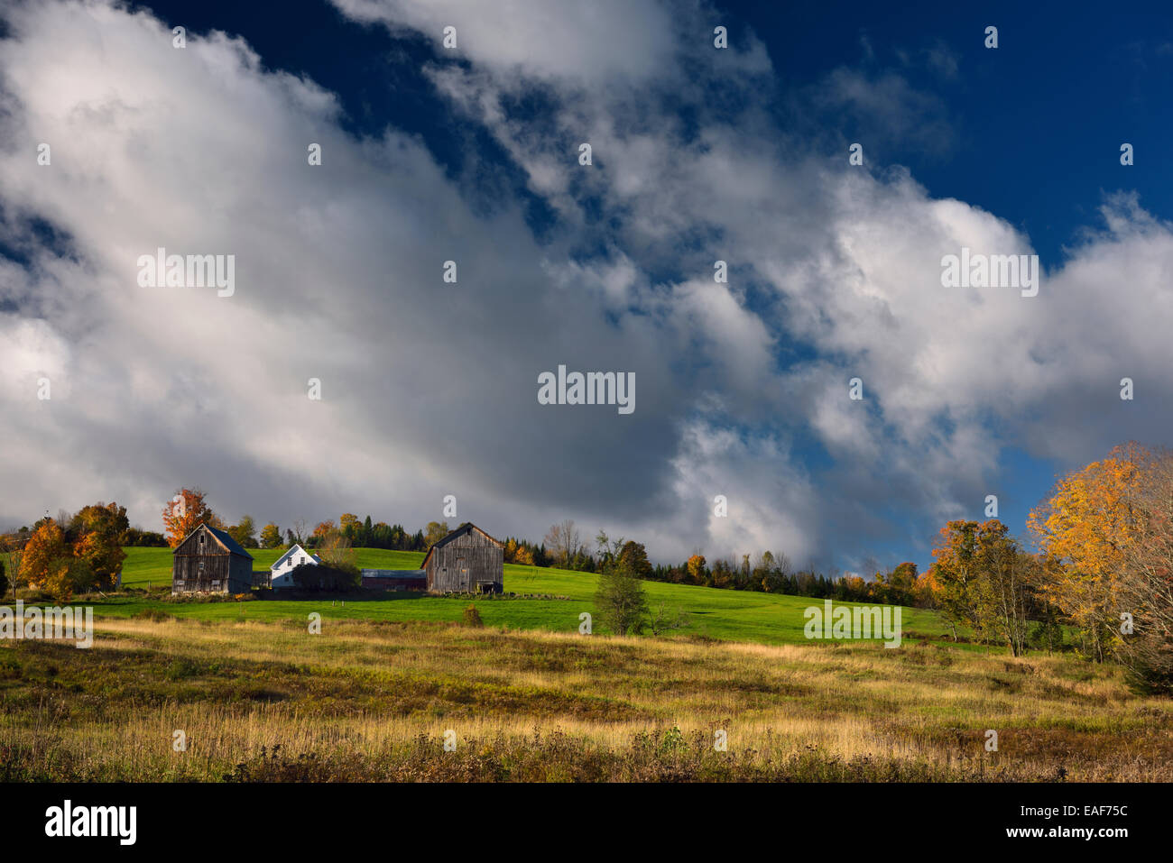 Farmhouse and barns at sunrise on hillside West Burnet Vermont USA in ...