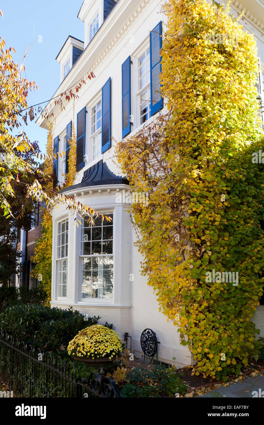 Climbing ivy on house - USA Stock Photo - Alamy