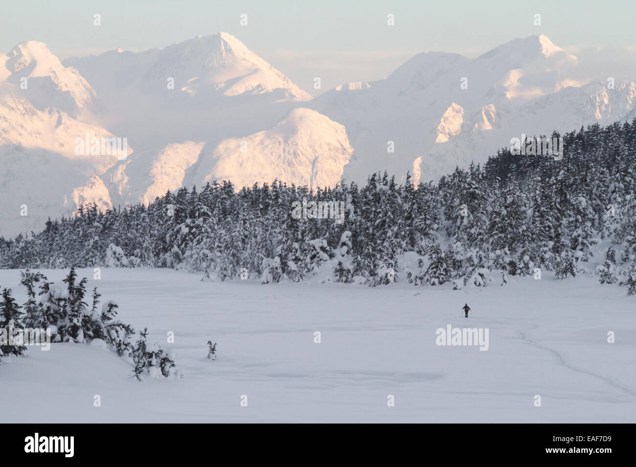 Turnagain pass ski hi-res stock photography and images - Alamy