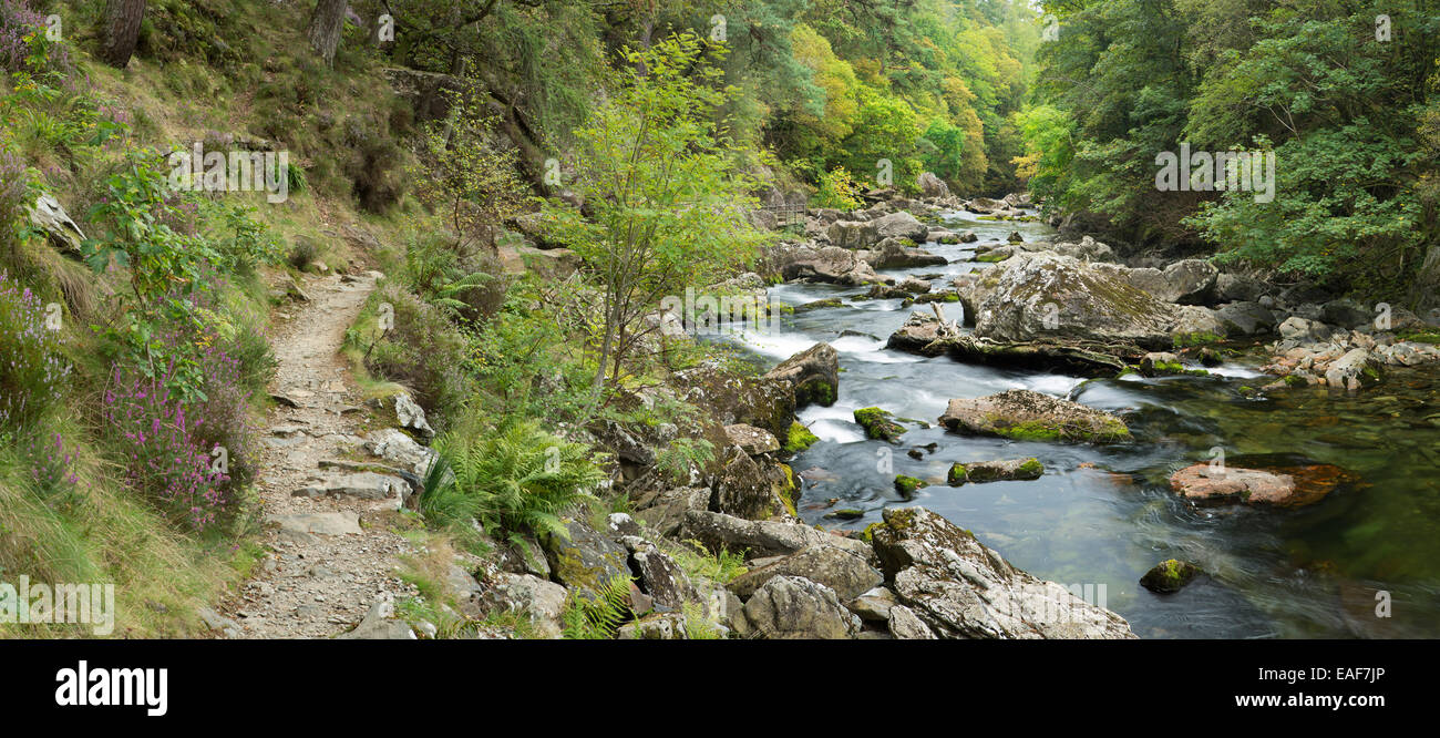 The a stone path lines the river Glaslyn as it flows between the trees ...