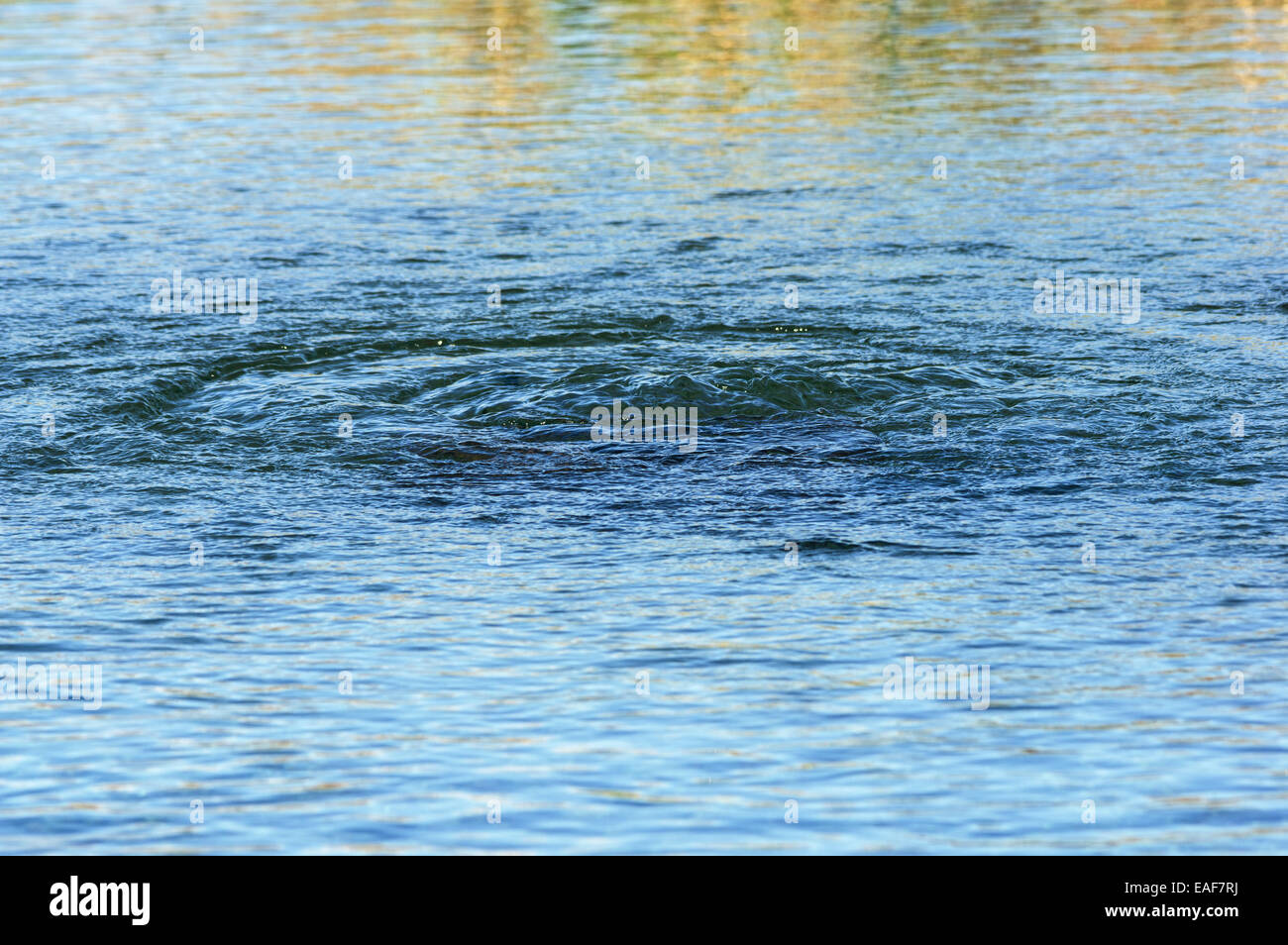 Upwelling Water High Resolution Stock Photography and Images - Alamy