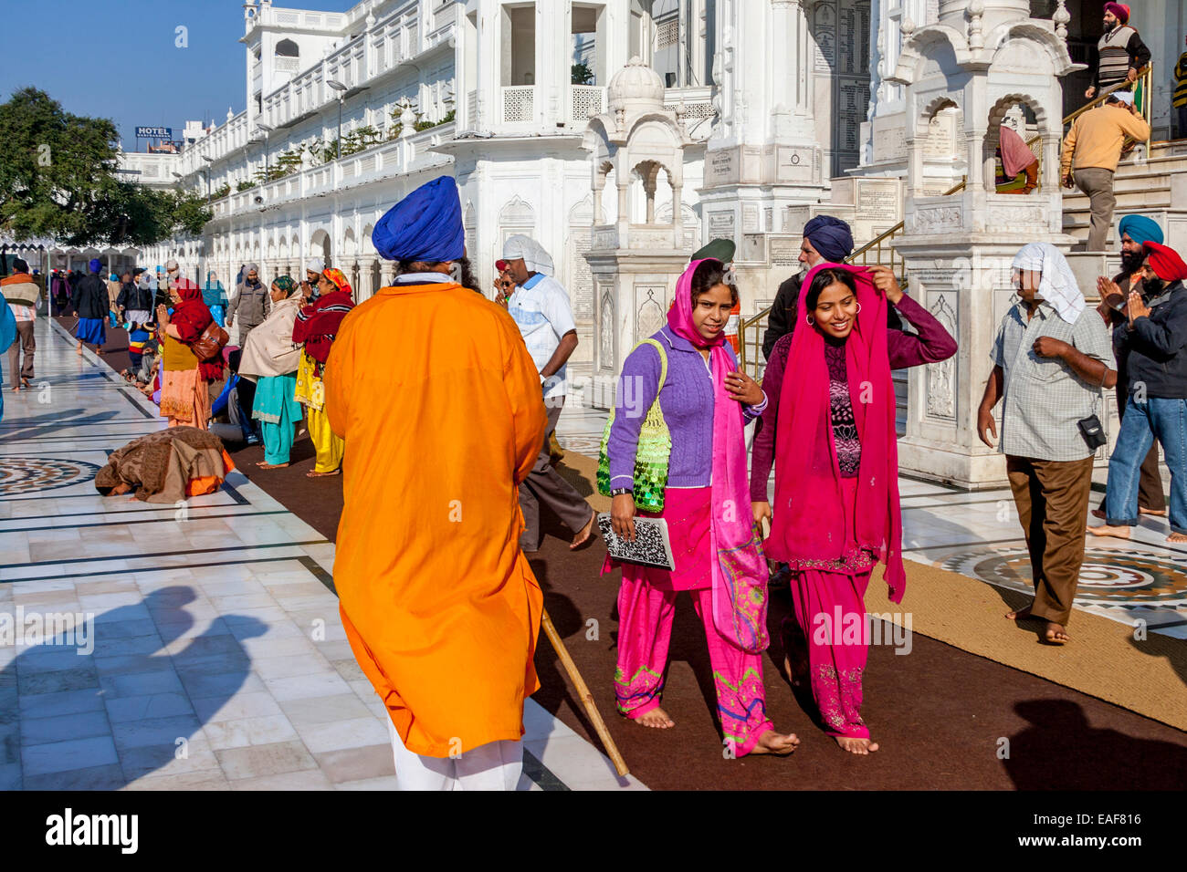 Sikh Women Praying At The Golden Temple of Amritsar, Punjab, India ...