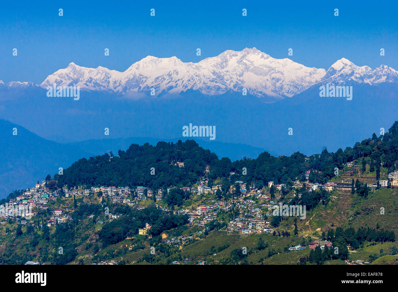 Kanchenjunga Tiger Hill