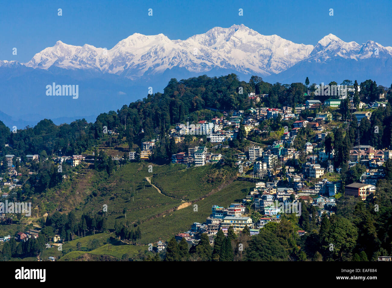 Tiger hill darjeeling hi-res stock photography and images - Alamy