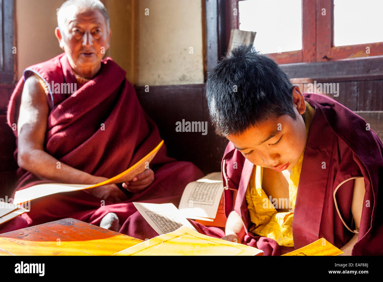 Young Novice Monk and His Teacher, Samten Choling Monastery, Darjeeling ...