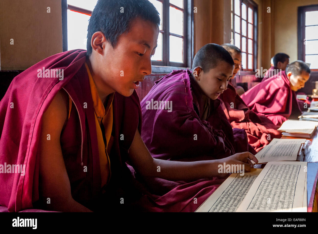 Novice monks studying hi-res stock photography and images - Alamy