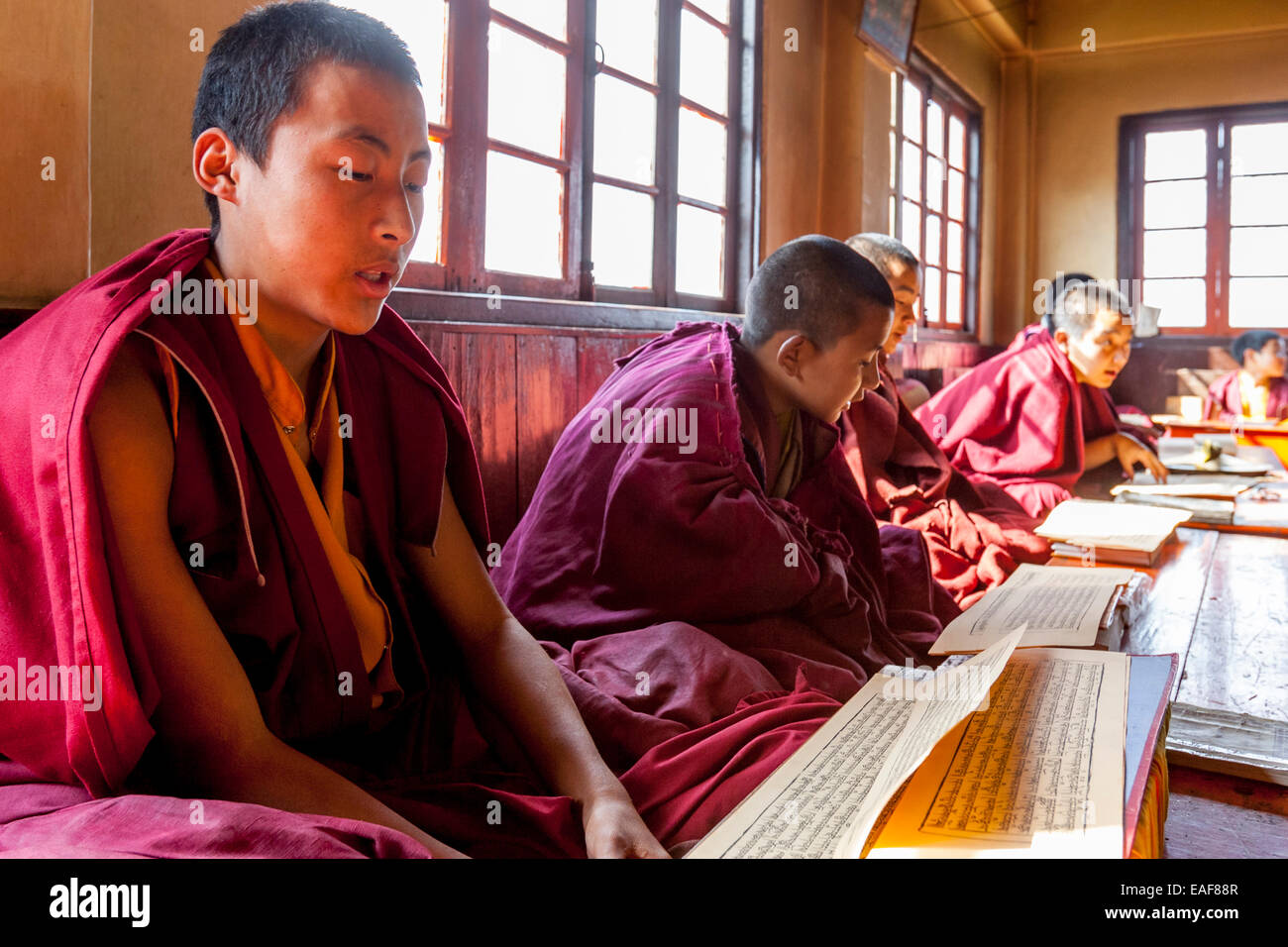 Samten choling monastery hi-res stock photography and images - Alamy