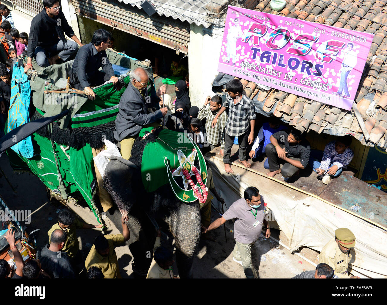 Elephant leading ashura procession in hi-res stock photography and ...